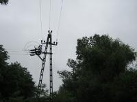 Őszi gallyazás MVM Hálózat