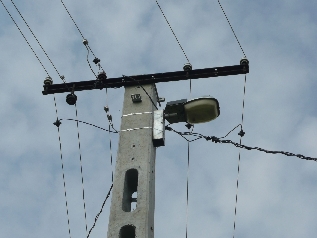 Őszi gallyazás MVM Hálózat